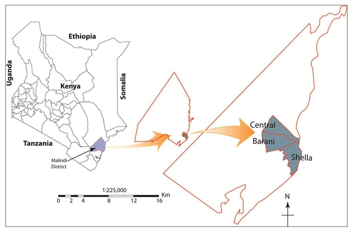 7 Best reasons why you should visit Malindi Kenya | Discover the beauty ...